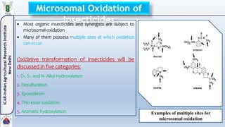 Insecticide Metabolism & Microsomal Oxidation.pptx
