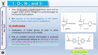 Insecticide Metabolism & Microsomal Oxidation.pptx