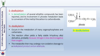 Insecticide Metabolism & Microsomal Oxidation.pptx