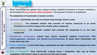 Insecticide Metabolism & Microsomal Oxidation.pptx