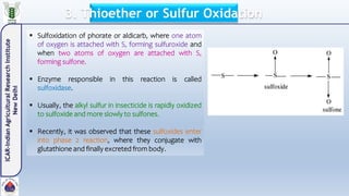 Insecticide Metabolism & Microsomal Oxidation.pptx