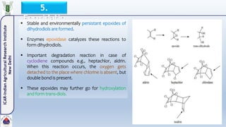 Insecticide Metabolism & Microsomal Oxidation.pptx