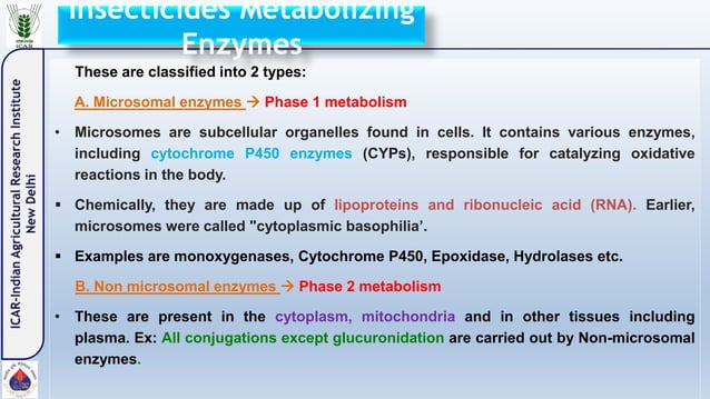 Insecticide Metabolism & Microsomal Oxidation.pptx