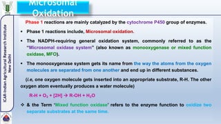 Insecticide Metabolism & Microsomal Oxidation.pptx