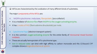 Insecticide Metabolism & Microsomal Oxidation.pptx