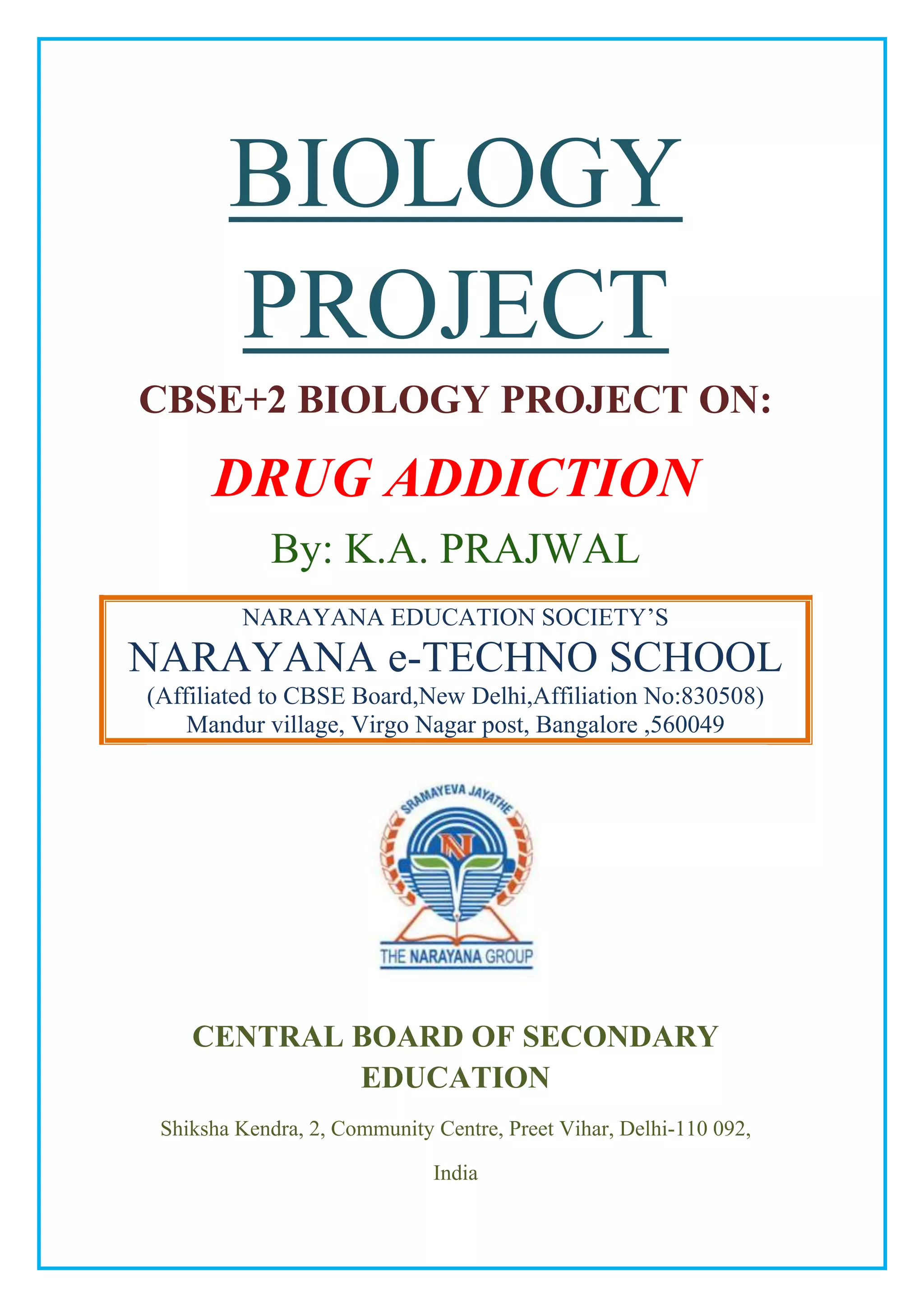 DRUG ADDICTION | PDF