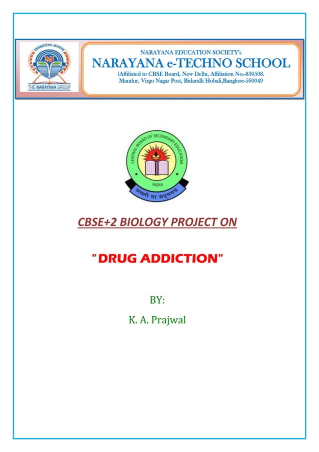 DRUG ADDICTION | PDF