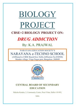 DRUG ADDICTION | PDF