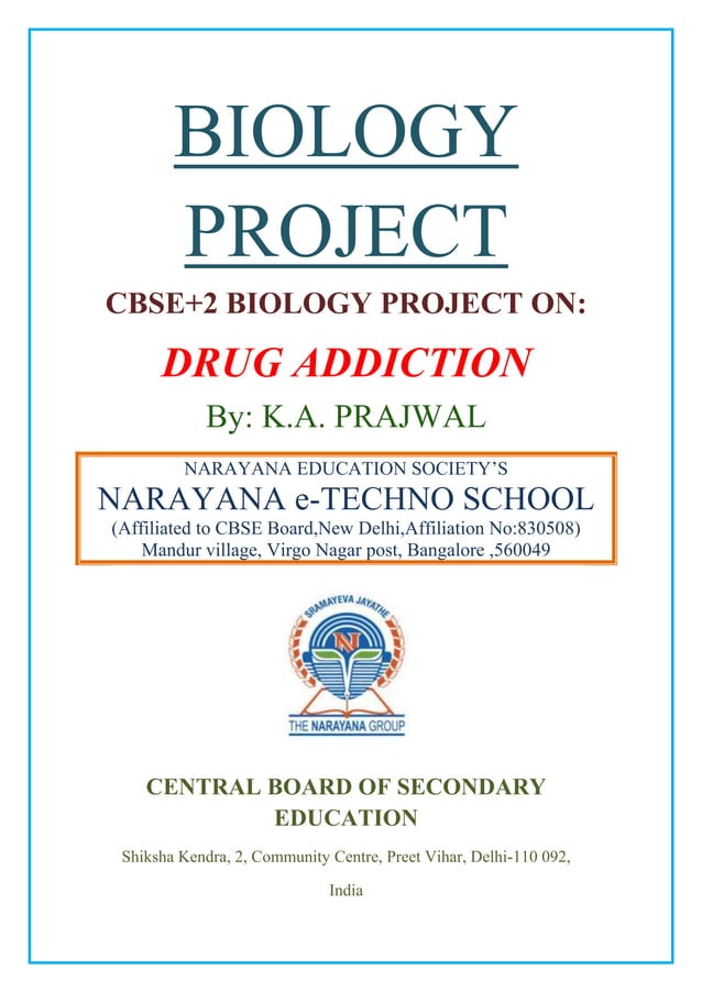 DRUG ADDICTION | PDF