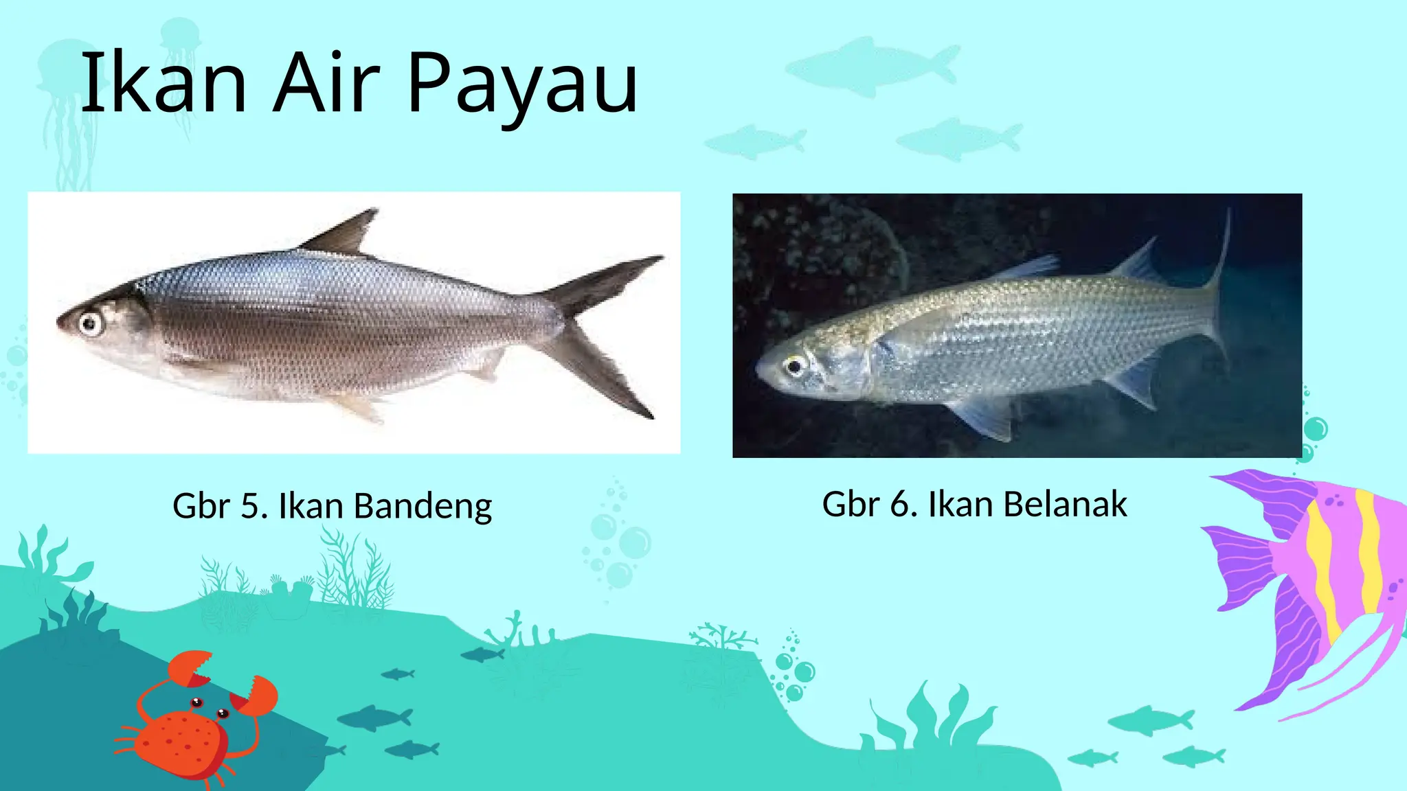 Prakarya 9, Bab I Budidaya Ikan Konsumsi.pptx