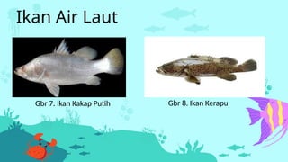 Prakarya 9, Bab I Budidaya Ikan Konsumsi.pptx
