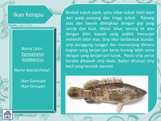 Khasiat ikan | PPTX