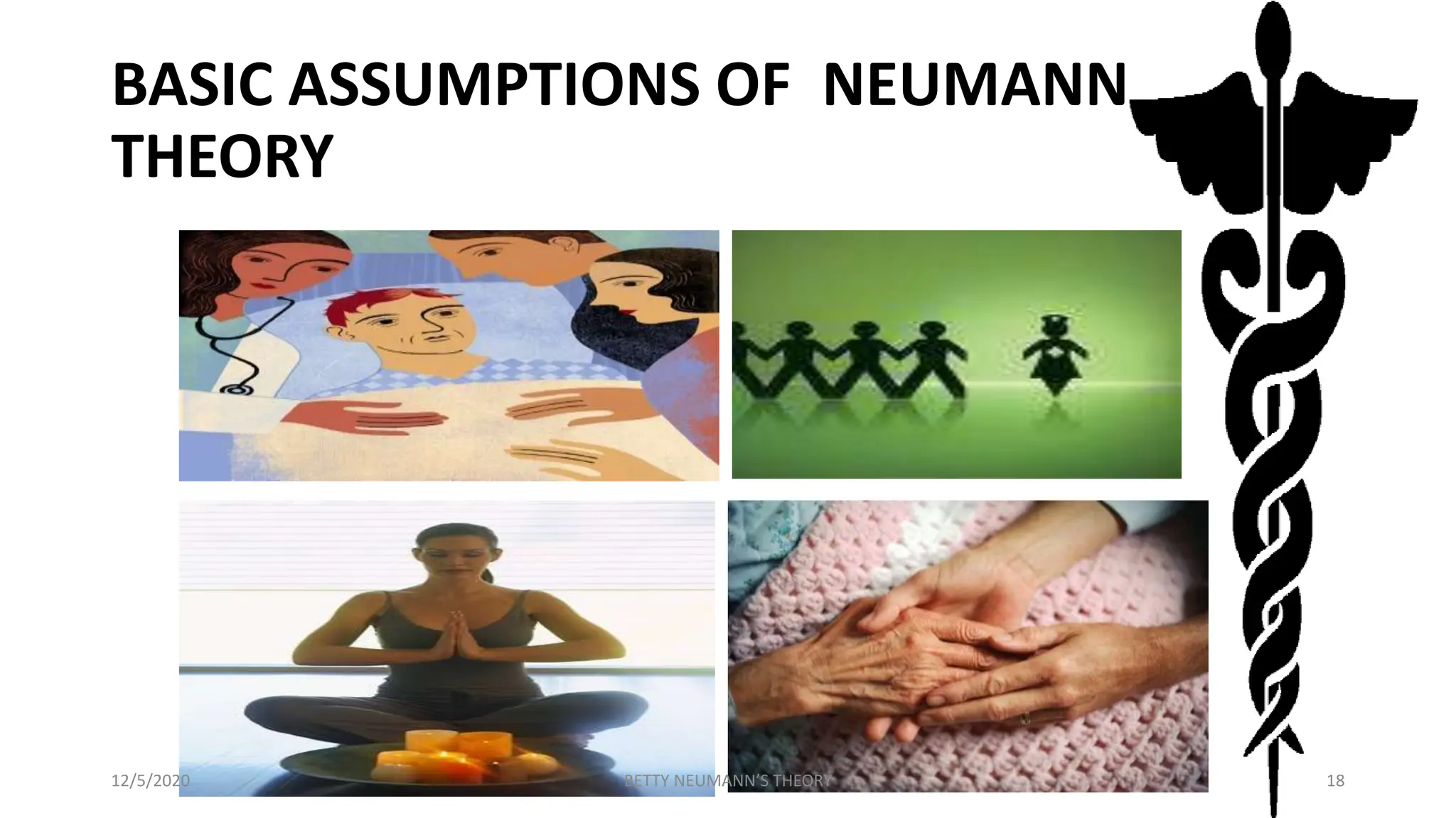 BETTY NEUMANN’S SYSTEM MODEL THEORY .pptx