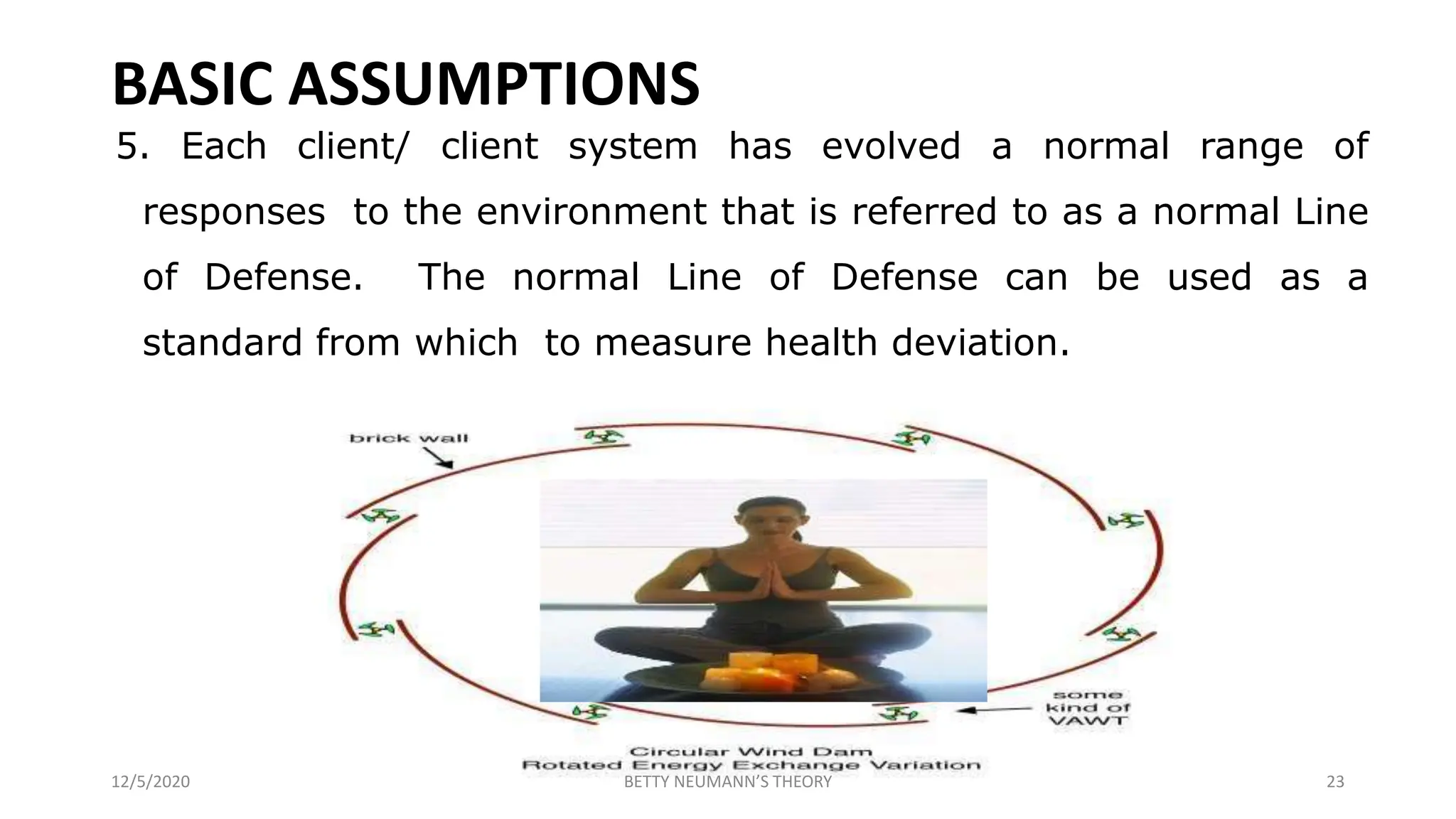 BETTY NEUMANN’S SYSTEM MODEL THEORY .pptx
