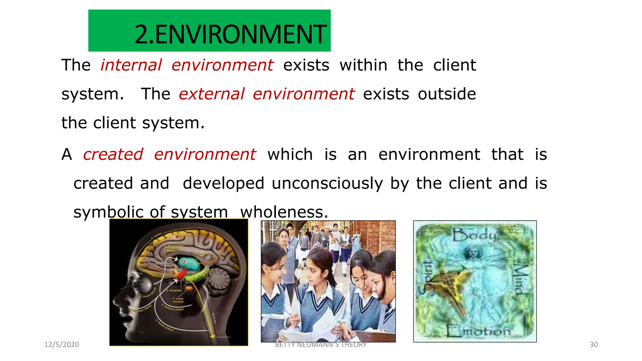 BETTY NEUMANN’S SYSTEM MODEL THEORY .pptx