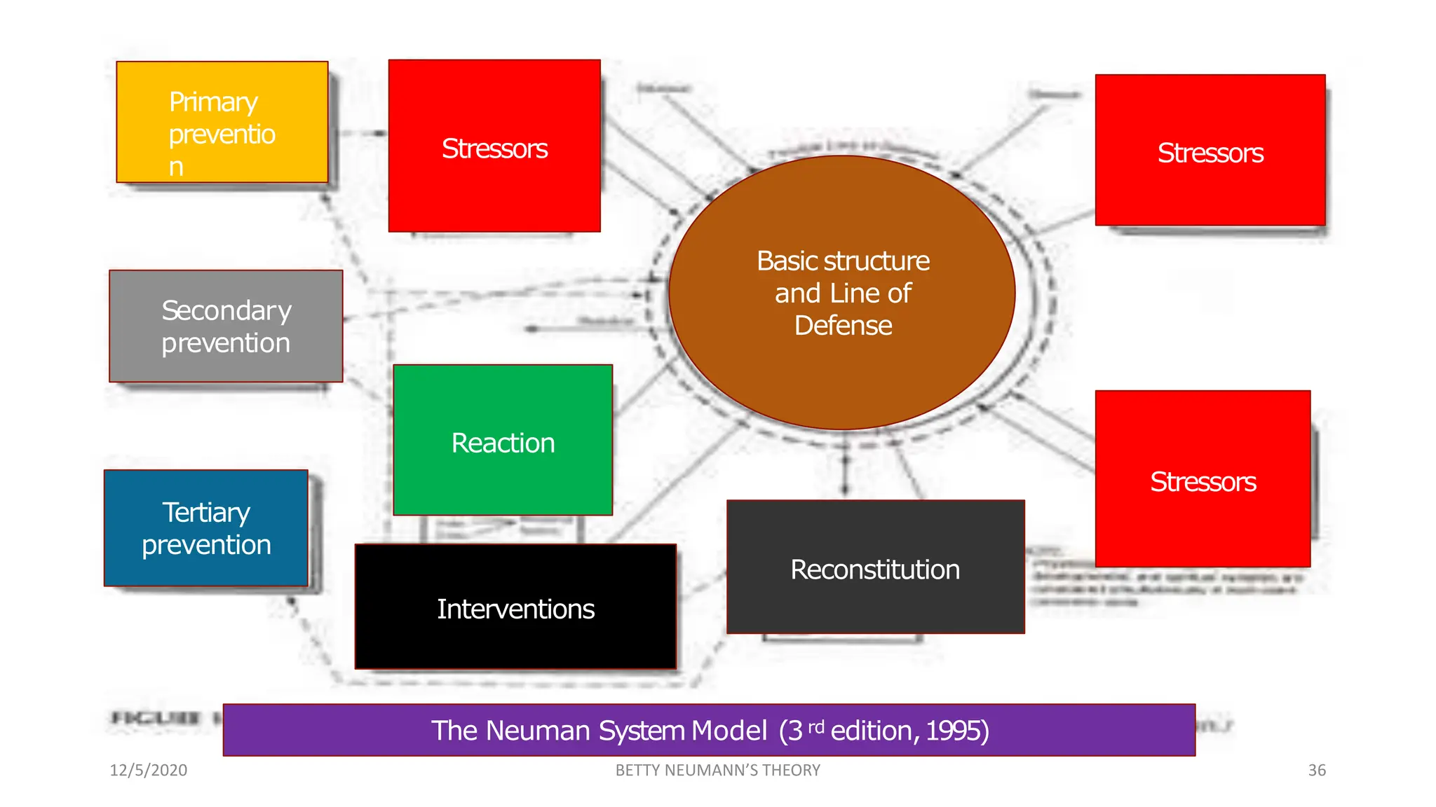 BETTY NEUMANN’S SYSTEM MODEL THEORY .pptx | Physics | Science