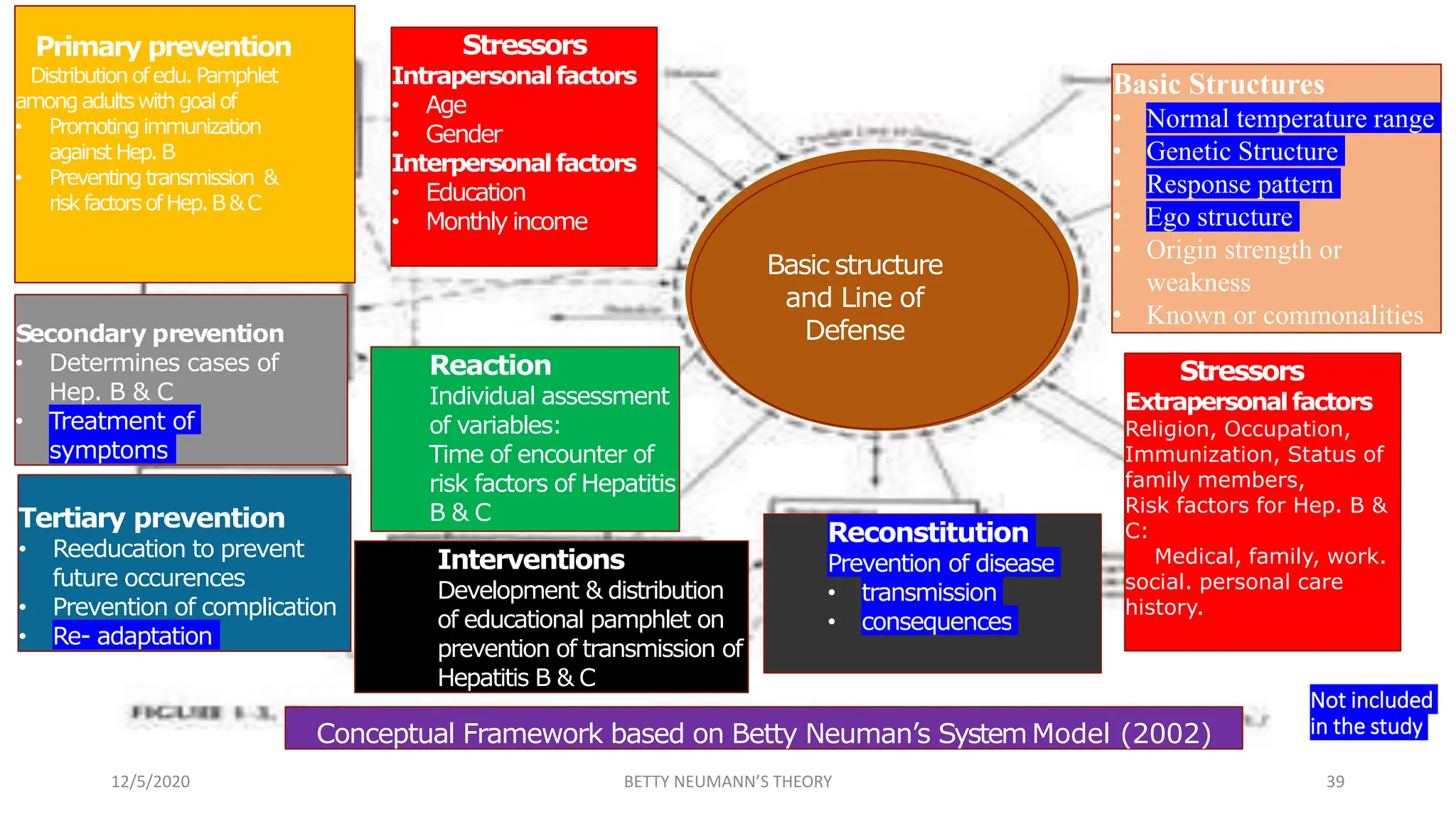 BETTY NEUMANN’S SYSTEM MODEL THEORY .pptx | Physics | Science