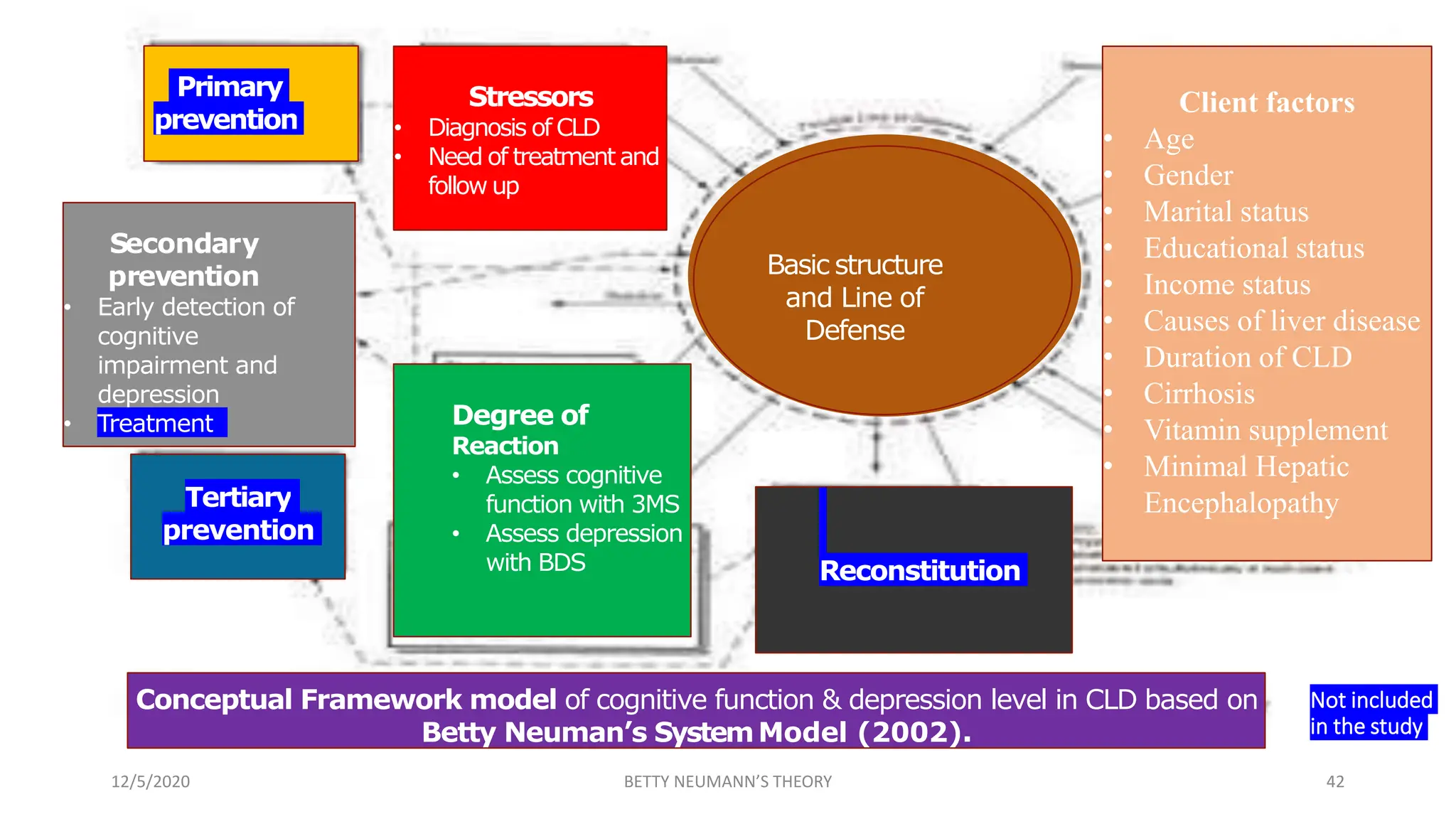 BETTY NEUMANN’S SYSTEM MODEL THEORY .pptx