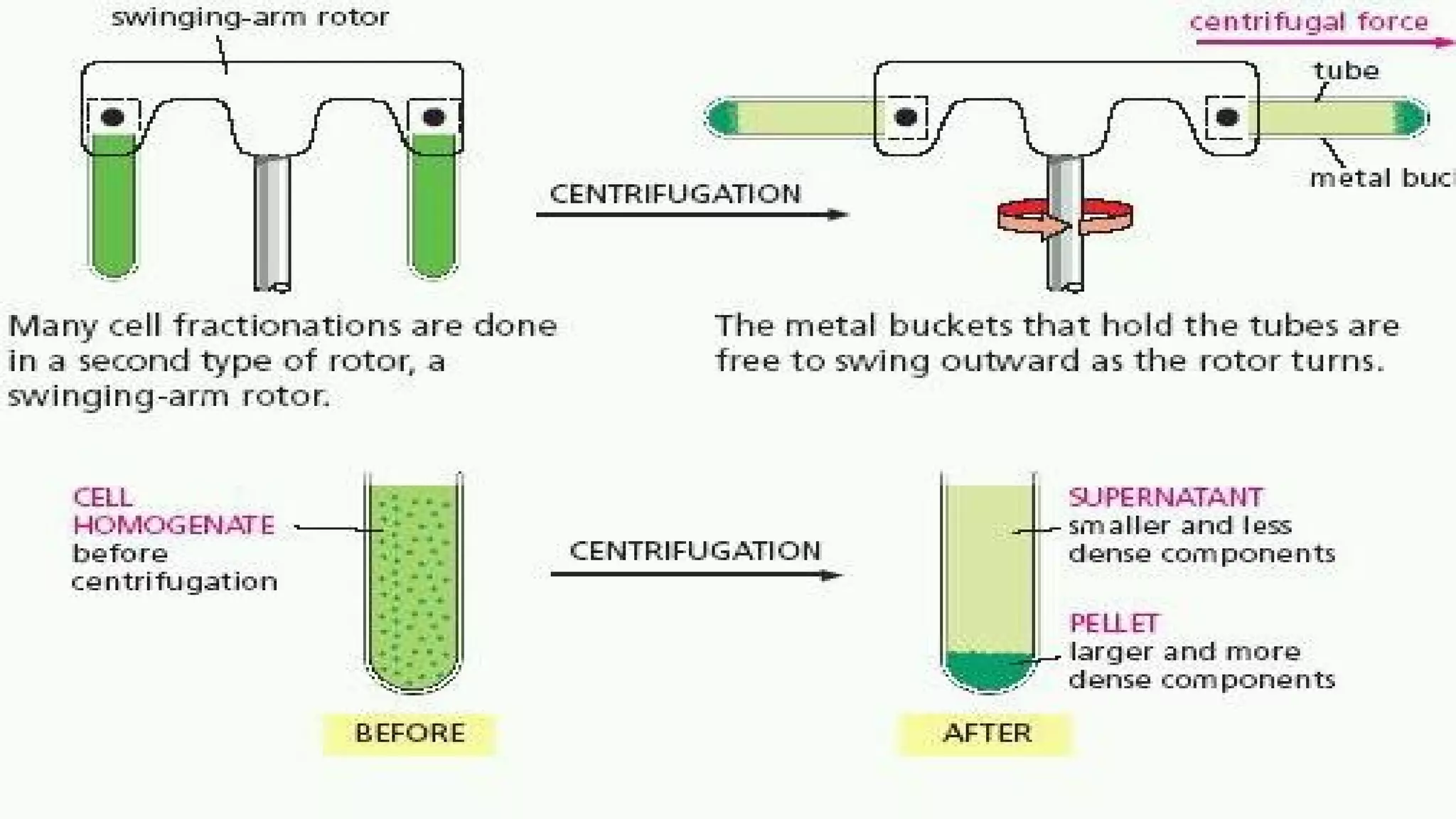 centrifuge principle and application | PPT