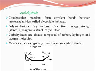 macromolecules by kk sahu sir | PPT