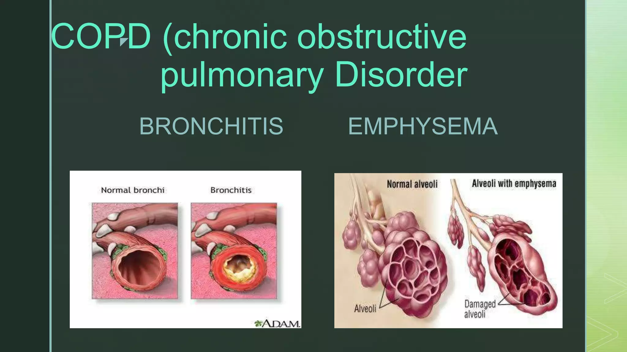 Respiratory diet - Prakash Mavchi | PPTX | Lung and Respiratory Health ...