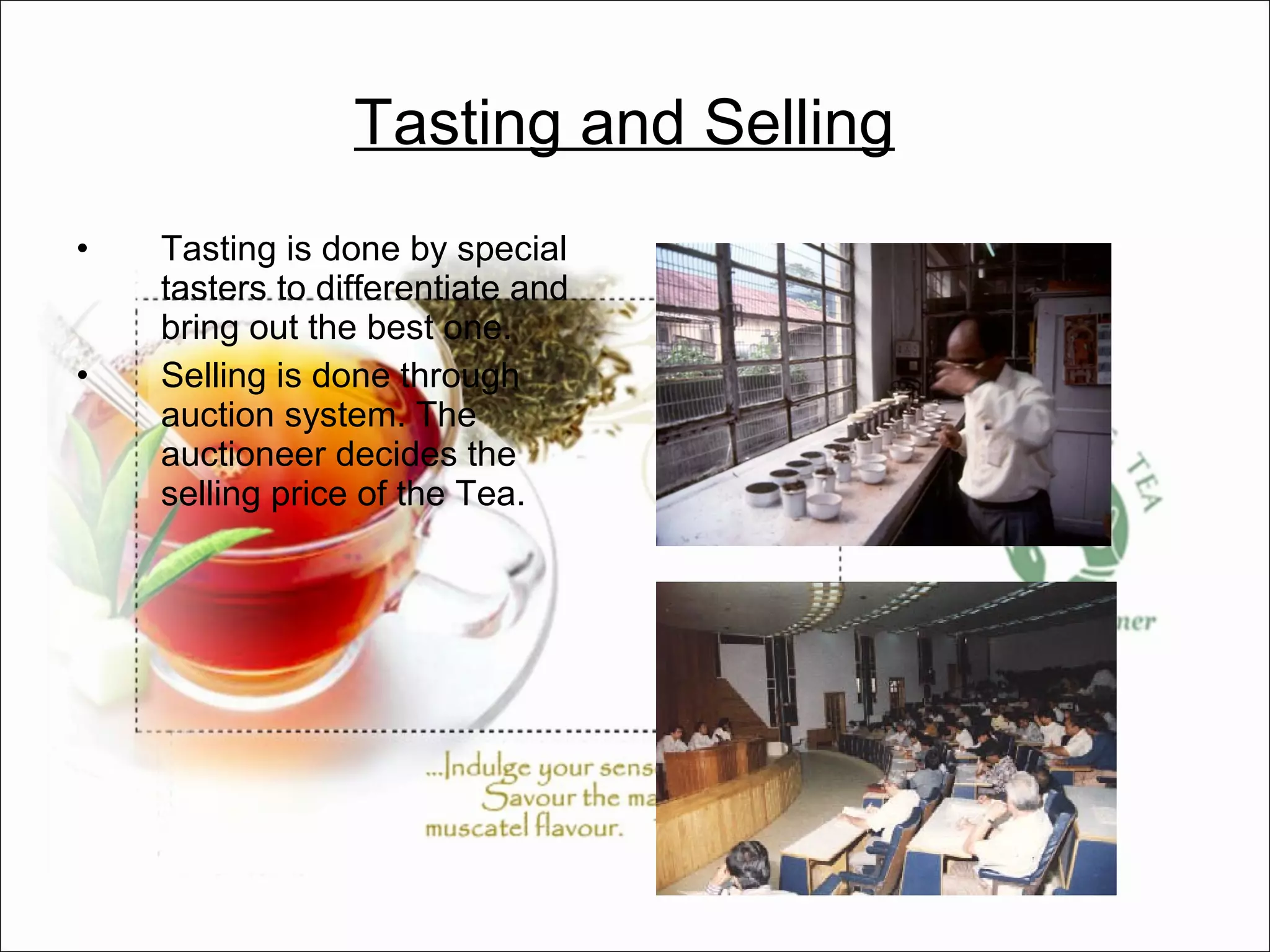 Prakhar agarwal case study on darjeeling tea | PPT