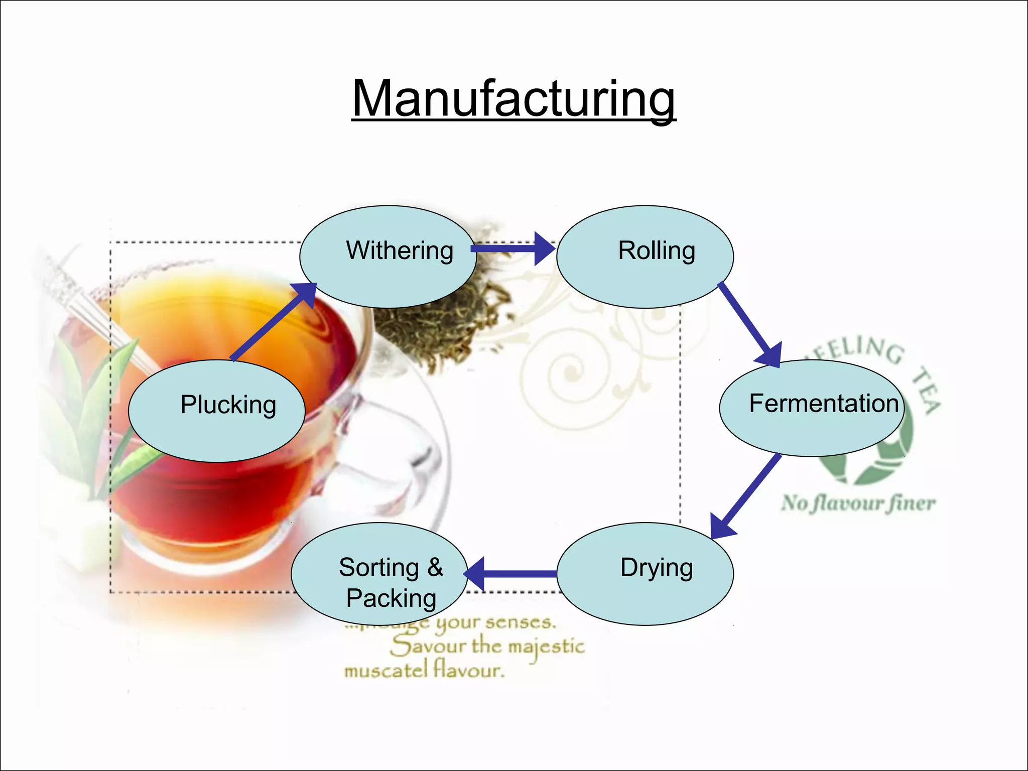 Prakhar agarwal case study on darjeeling tea | PPT