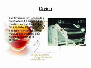 Prakhar agarwal case study on darjeeling tea | PPT