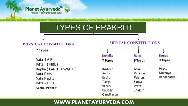 Prakriti complete basic constitution of the body | PPTX | Hinduism ...