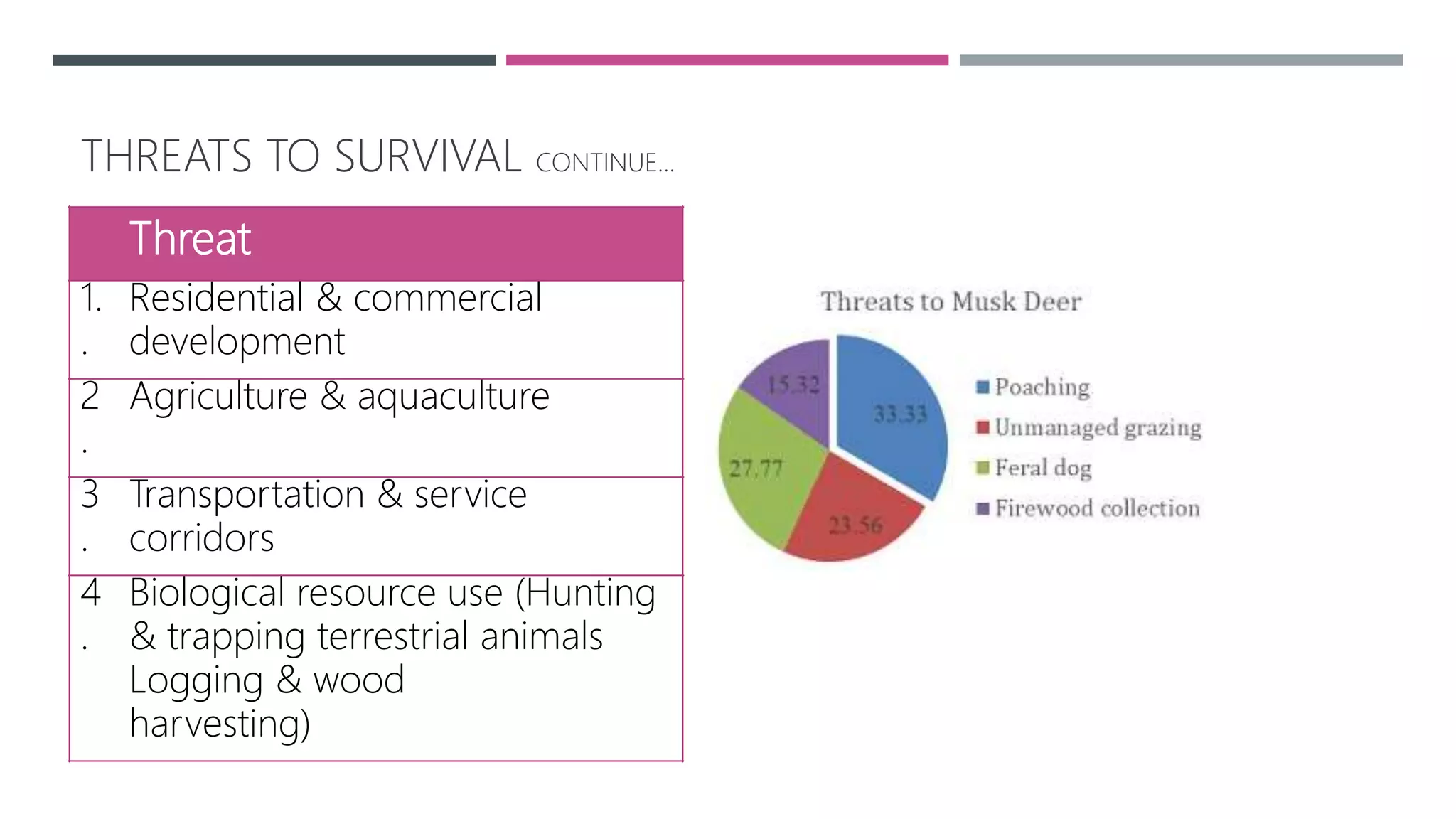 Himalayan musk deer ecology and conservation project | PPTX