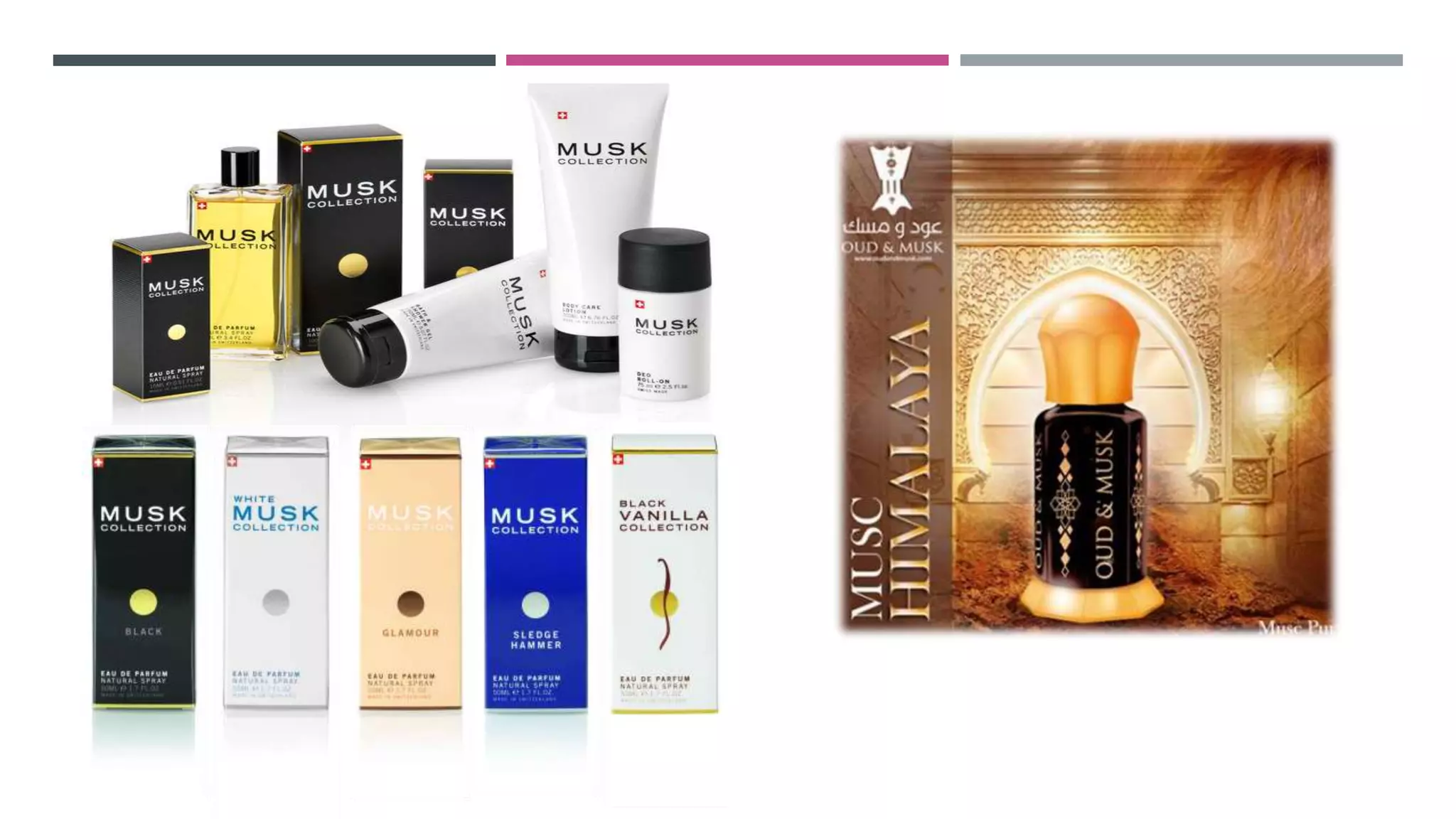 Himalayan musk deer ecology and conservation project | PPTX