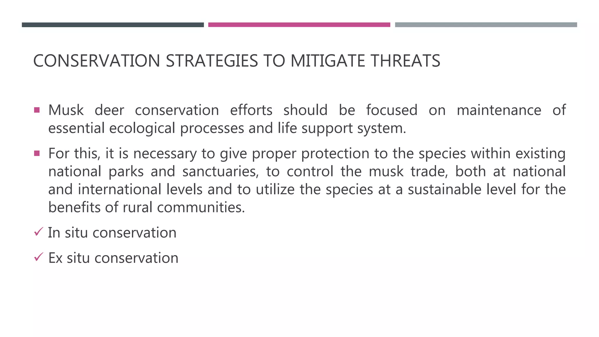 Himalayan musk deer ecology and conservation project | PPTX