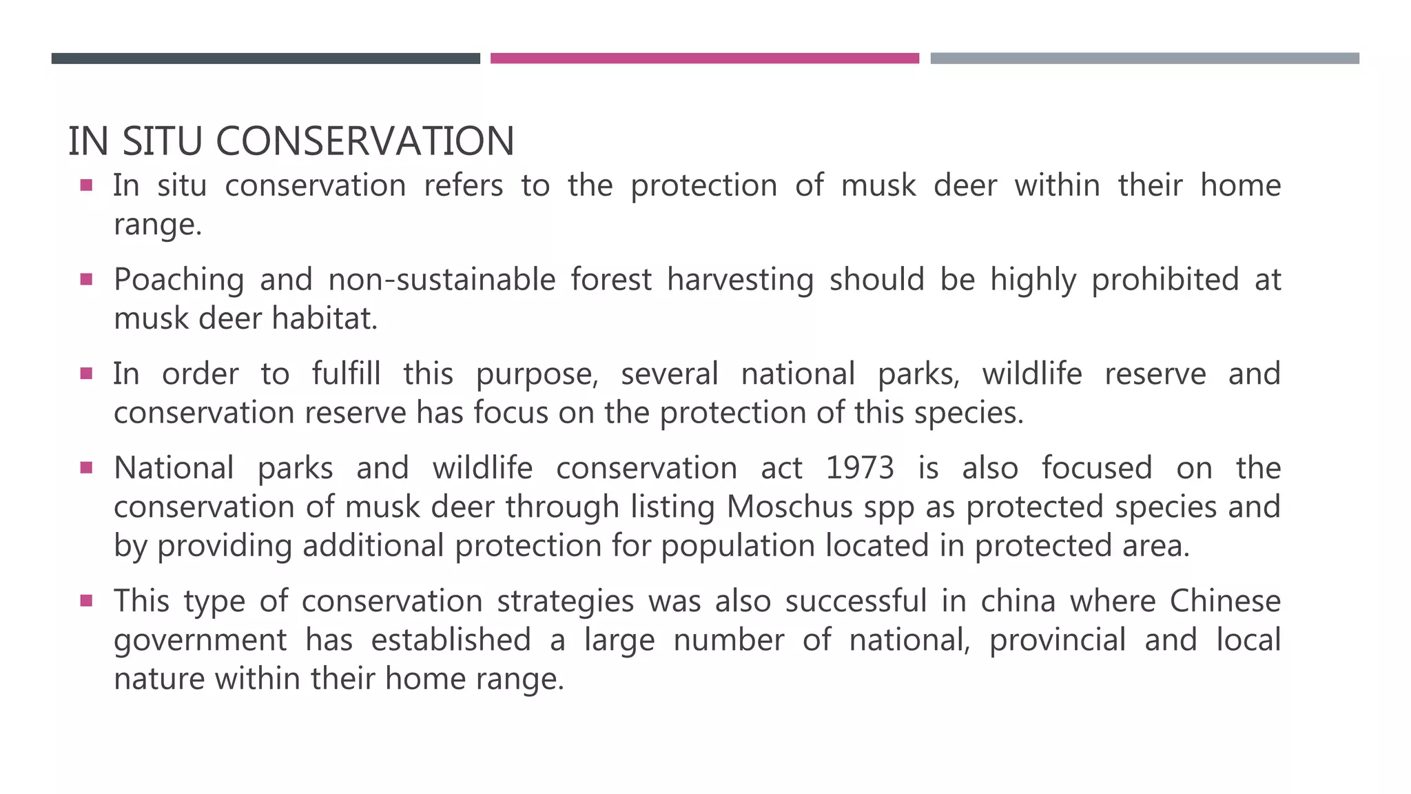 Himalayan musk deer ecology and conservation project | PPTX