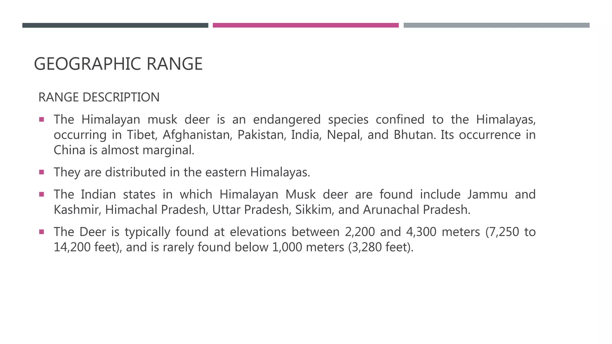 Himalayan musk deer ecology and conservation project | PPTX