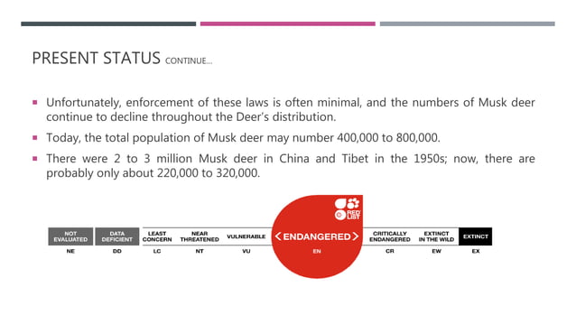 Himalayan musk deer ecology and conservation project | PPTX | Zoos ...