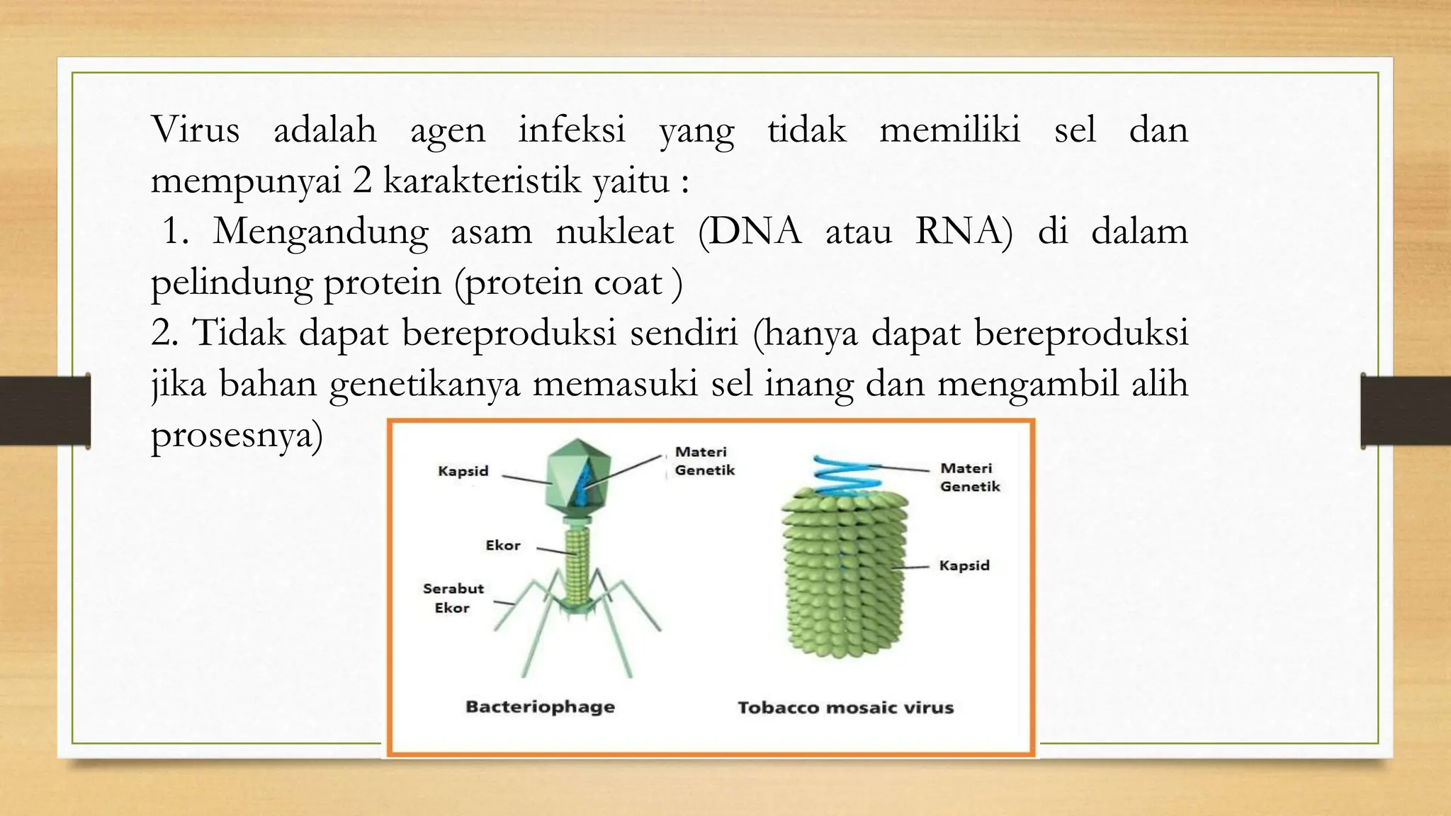Pengenalan Penyakit Tanaman yang Disebabkan Virus | PPTX