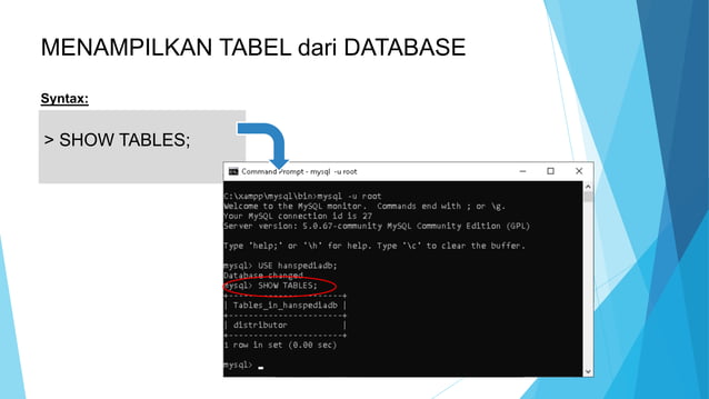 Introduction Structure Query Language for programming | PDF
