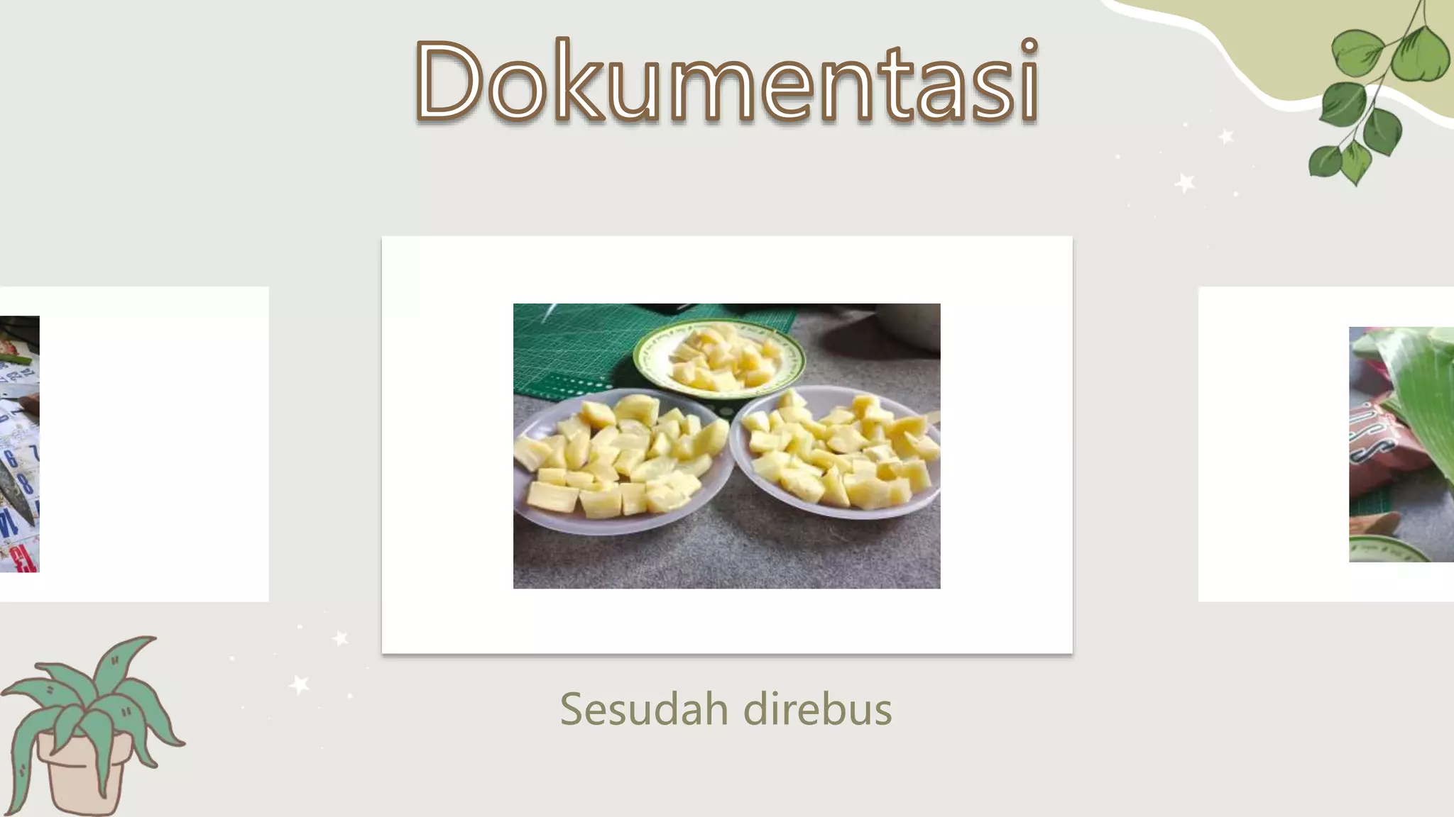 PRAKTEK BIOTEKNOLOGI TAPE SINGKONG.pptx