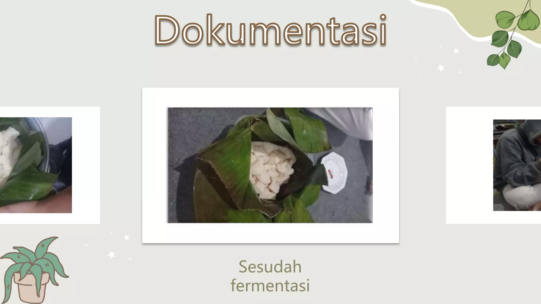 PRAKTEK BIOTEKNOLOGI TAPE SINGKONG.pptx