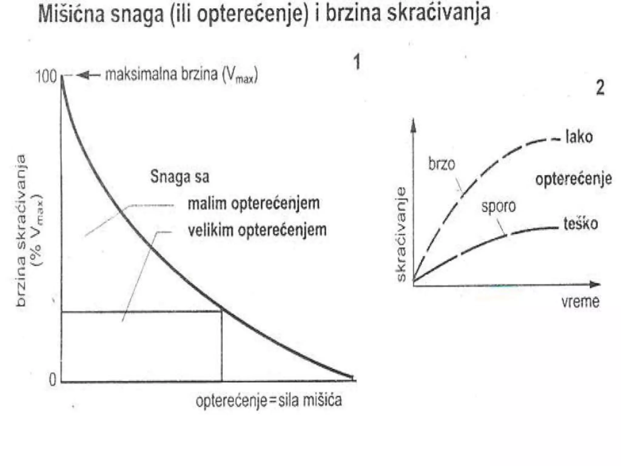 Prakticna nastava cns - drugi blok, misici | PPT