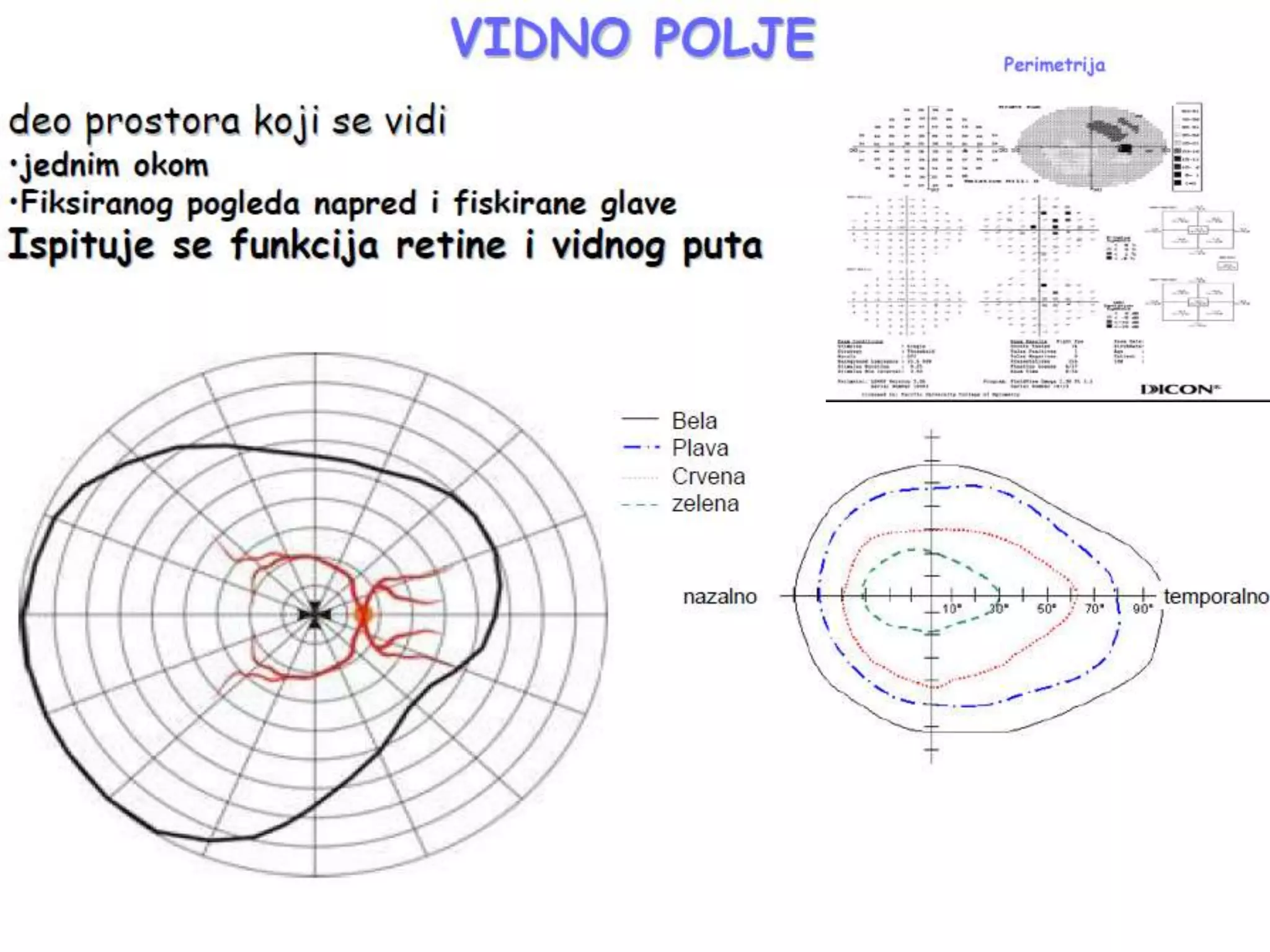 Prakticna nastava cns - treci blok - senzibilitet, vidni sistem | PPT