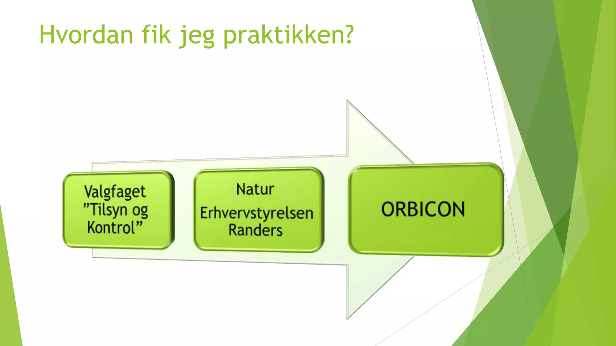 Praktikken hos ORBICON | PPTX
