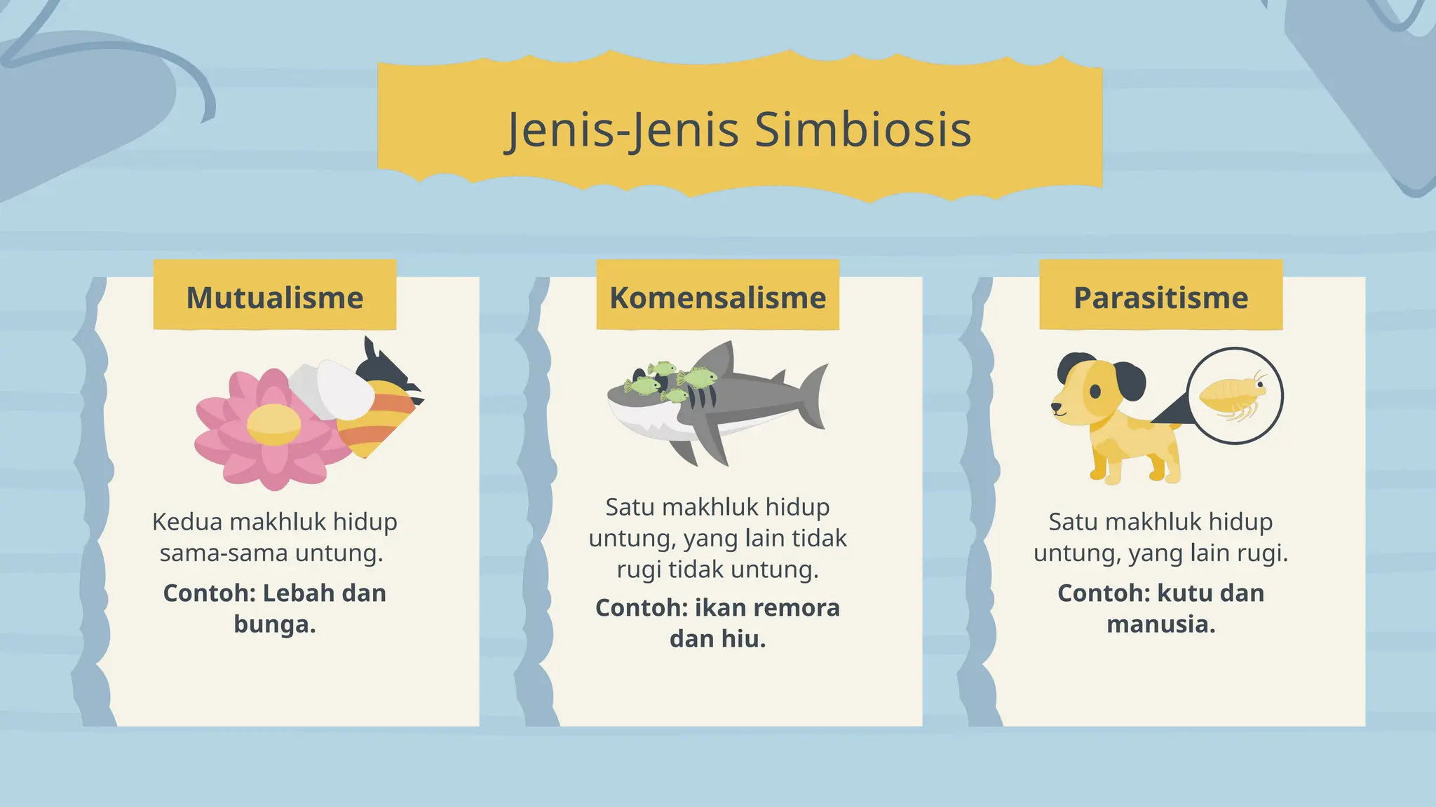 PRAKTIK KINERJA JENIS-JENIS SIMBIOSIS.pptx