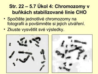 Praktikum 4 07 | PPT