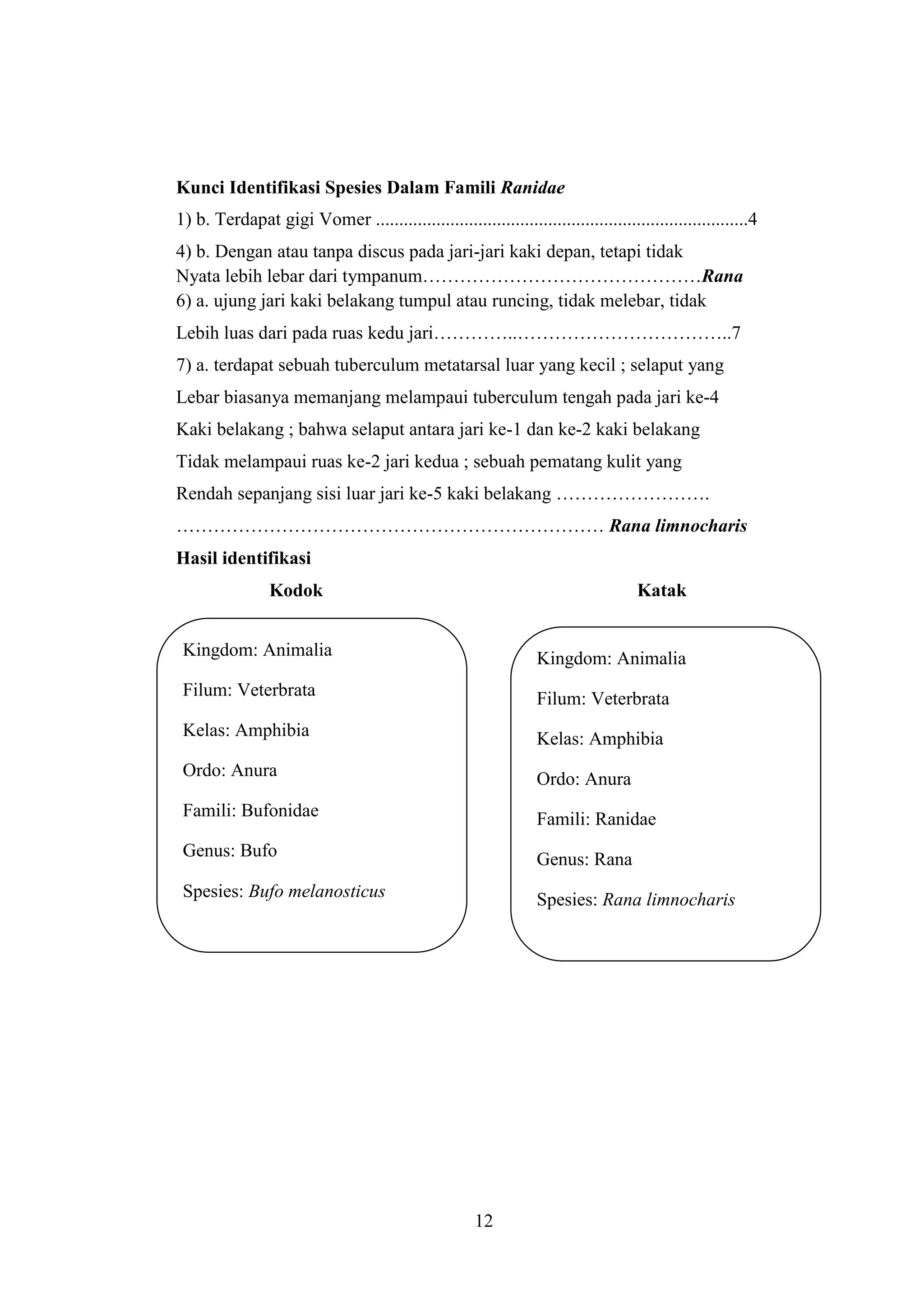 Laporan Praktikum 3 Amphibia | PDF