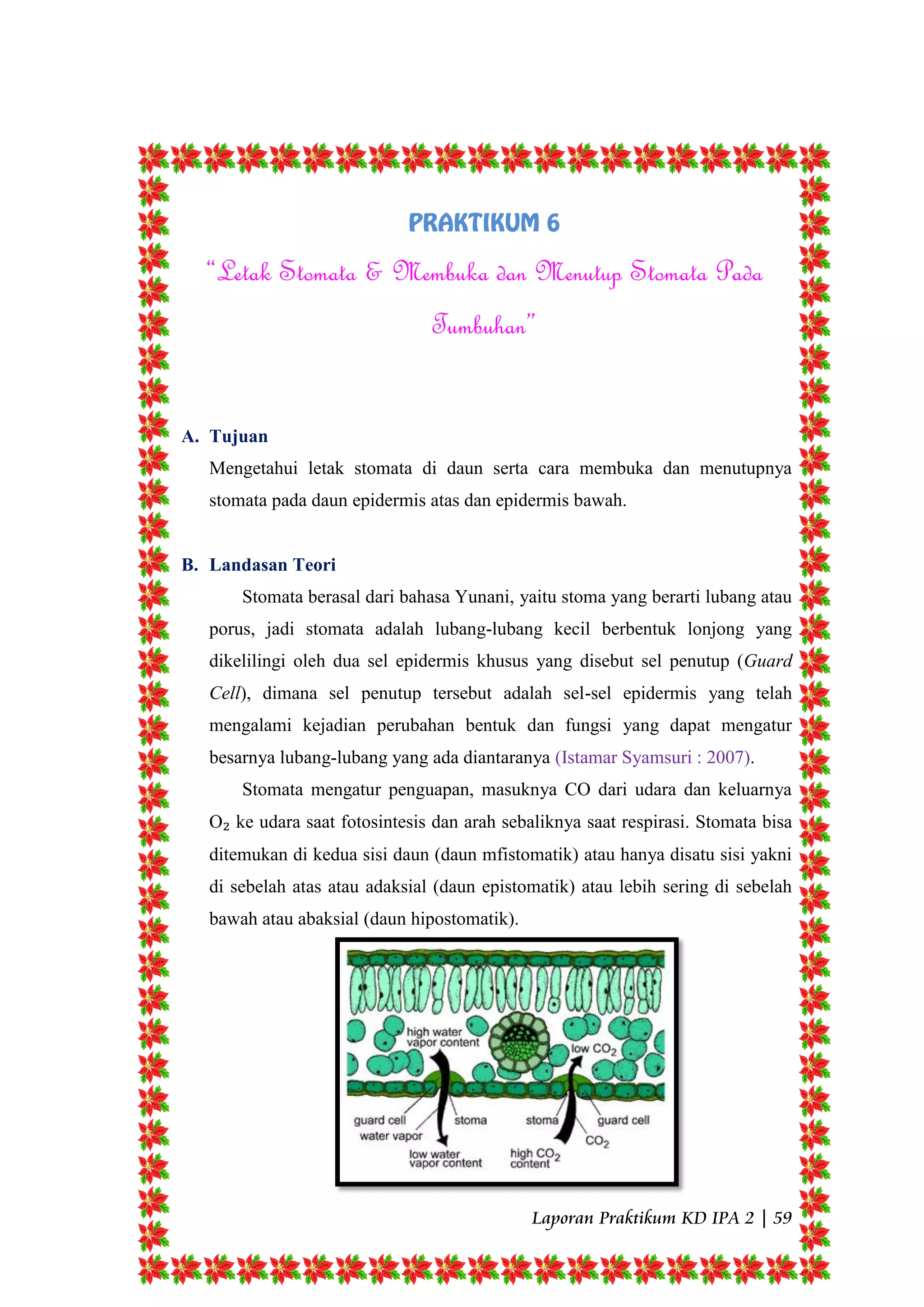 Praktikum Mengetahui Letak Stomata, Cara Membuka dan Menutup Stomata ...