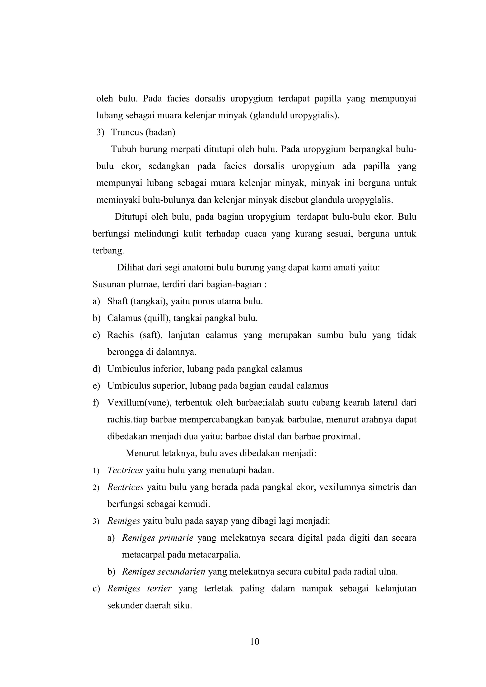 Laporan Praktikum 6 Identifikasi Burung | PDF
