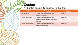Praktikum Anatomi yang bermanfaat untuk materi dasar keperawatan | PPTX