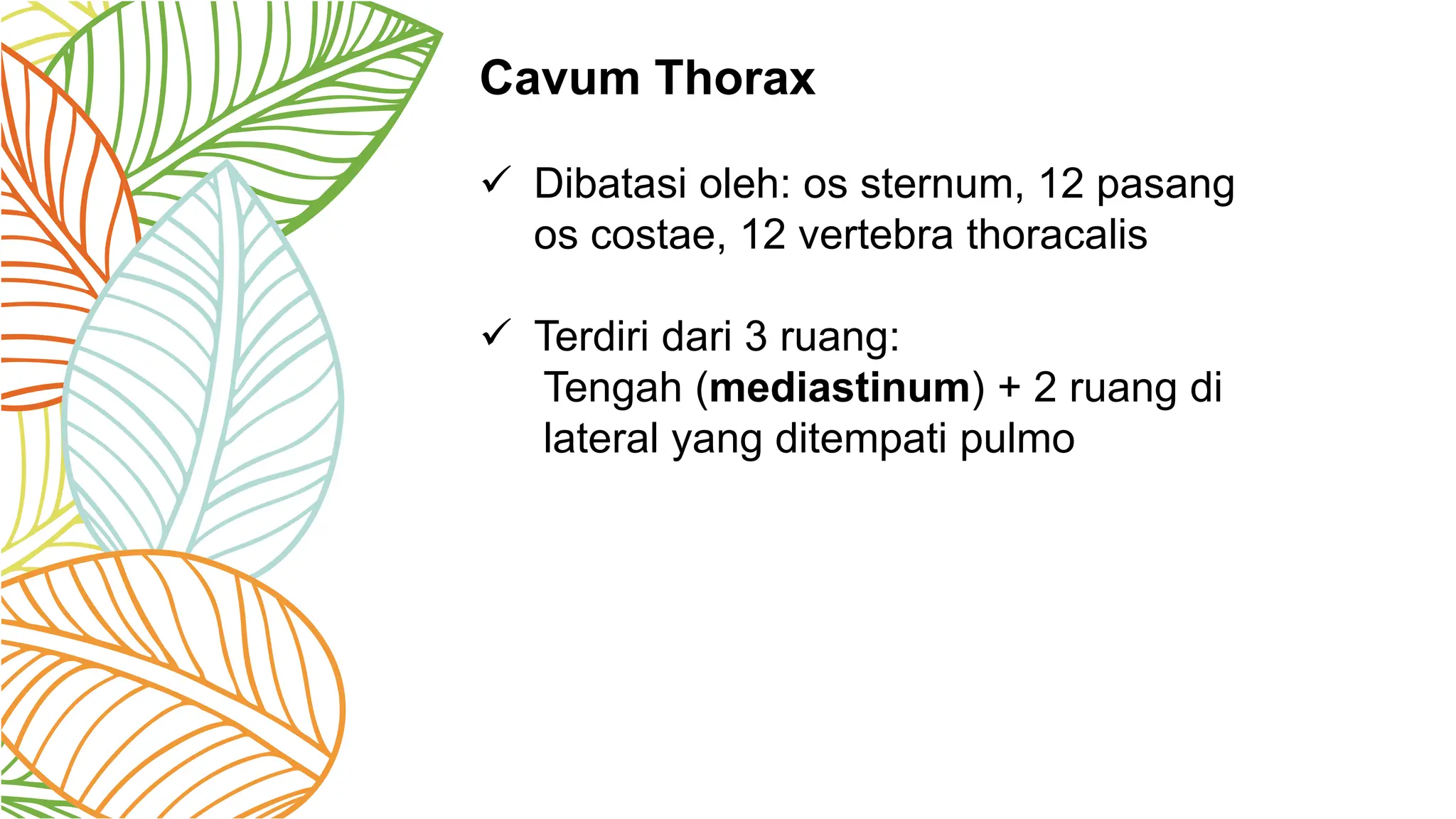 MATERI PRESENTASI INI BERISI TENTANG ANATOMI THORAX, JANTUNG DAN PARU ...