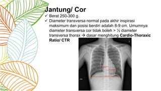 MATERI PRESENTASI INI BERISI TENTANG ANATOMI THORAX, JANTUNG DAN PARU ...